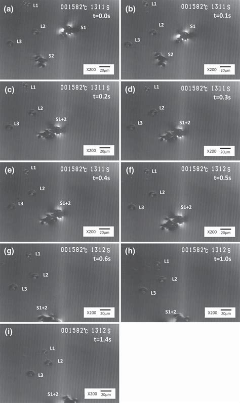 Mages Showing The Interactions Among Liquid Inclusions L1 Through L3 Download Scientific