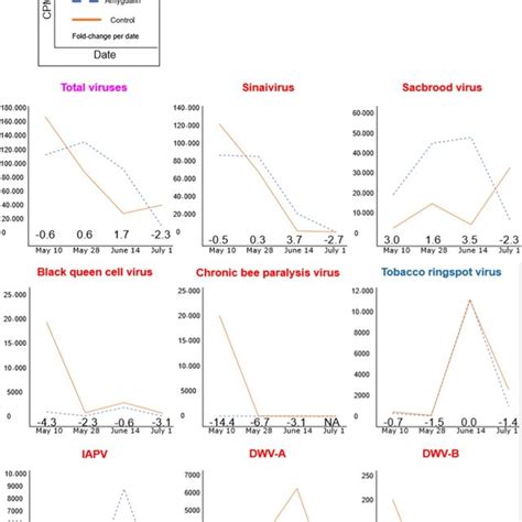 Bracken Corrected Kraken2 Viral Counts Using A Kraken2 Holobee