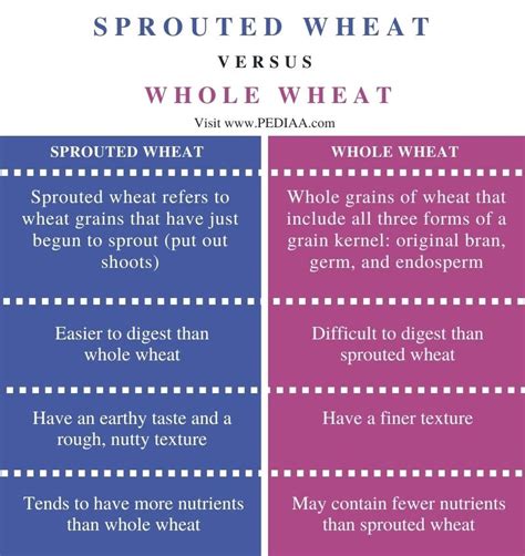 What Is The Difference Between Sprouted Wheat And Whole Wheat Pediaa Com