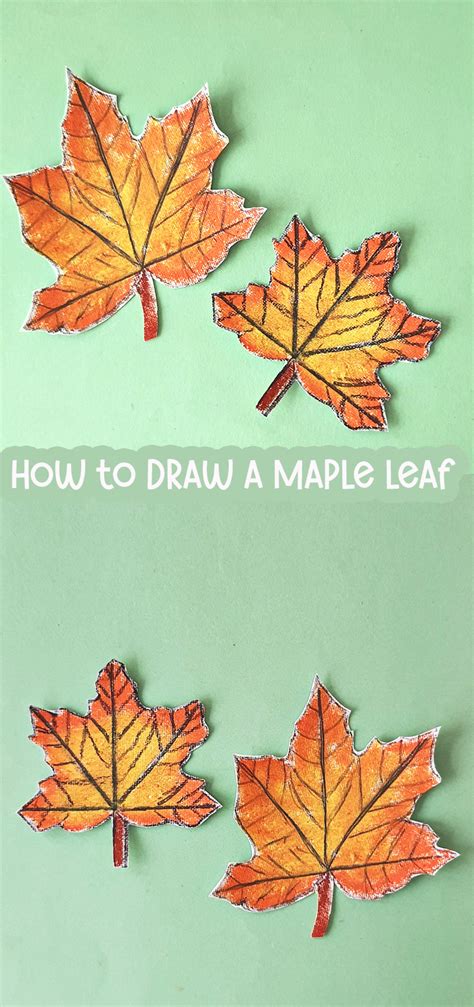 How To Draw A Simple Maple Leaf Artofit