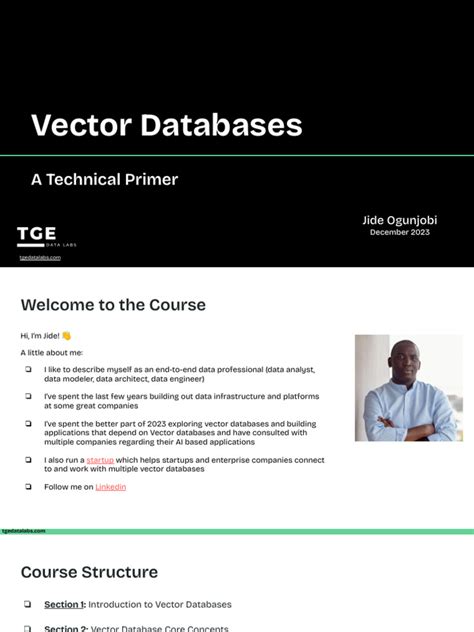 Vector Databases A Technical Primer Pdf Databases Database Index