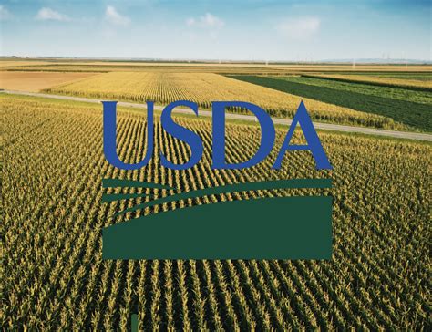 Who Needs Usda Certification And Why Is It Important