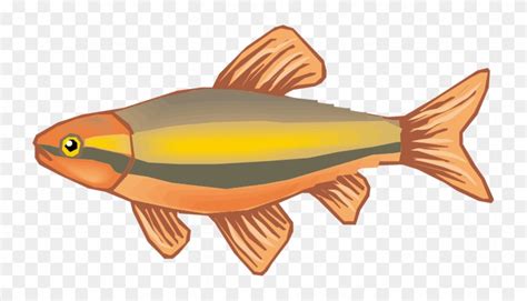 Fish Drawing Cartoon Animadas De Alimentos De Origen Animal Free