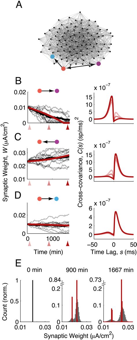 Stdp In Recurrent Networks With Internally Generated Spiking