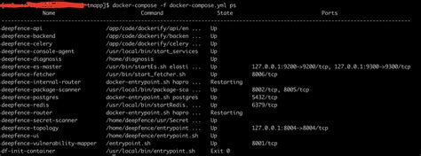 Console Not Showing Issue Deepfence ThreatMapper GitHub