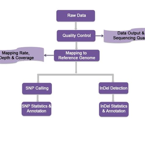 Bioinformatics Analysis Pipeline 23 Annotation Of Variants Download