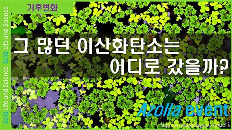 기후변화 그 많던 이산화탄소는 어디로 갔을까 아졸라 이벤트 Youtube