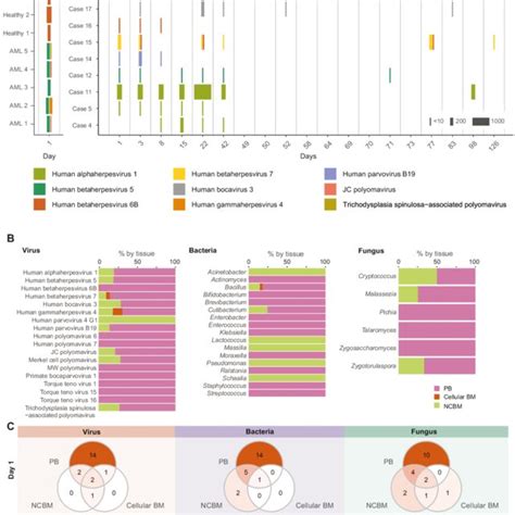 Microbial Sequencing Workflow And Longitudinal Detection Of Species Download Scientific Diagram