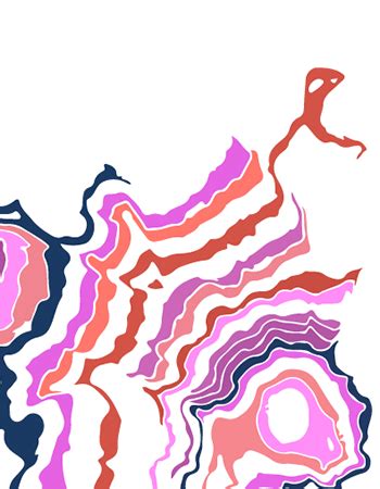 The Contours of Book Design | Miriam Suzanne