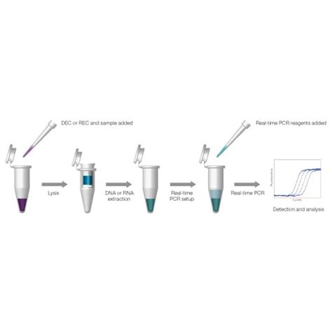 Qpcr Extraction Control Orange Bioline Meridian Bioscience
