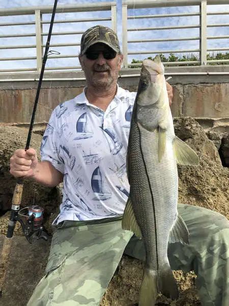 The Top 10 Game Fish You Can Catch With Pinfish W Tips SaltwaterMecca