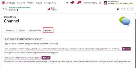 Live Chat In Odoo 17 Odoo V17 Enterprise Edition Book