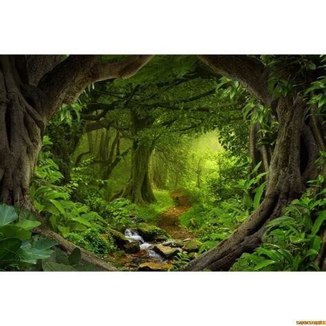 Tropical Jungle Gre Forest Backdrop For Photography Rainforest Natural