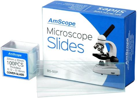 Microscope Slides Hidden Forest Mushroom Spores