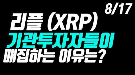 리플 기관투자자들이 매집 하는 이유는 이것 Youtube