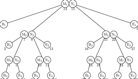 Example Tree With Height Download Scientific Diagram