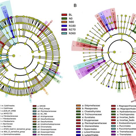 A Linear Discriminant Analysis Effect Size Lefse Method Identifies