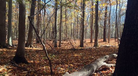 Eidson Woods Preserve 2025 All You Need To Know Before You Go With Reviews