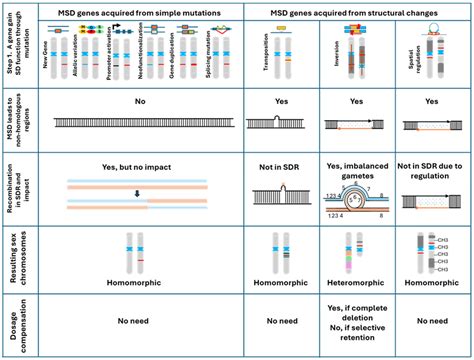 The Causeeffect Model Of Master Sex Determination Gene Acquisition And