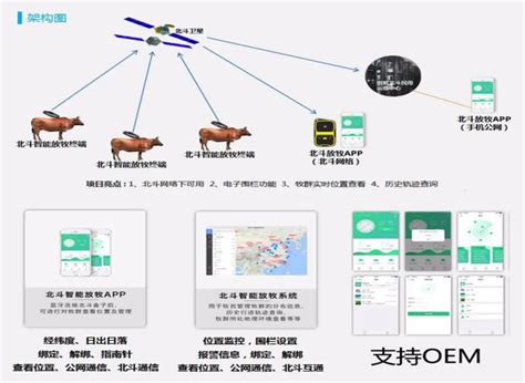 内蒙古师范大学智慧牧场团队：科技解放双手，智慧赋能牧业 蒙古高原研究中心