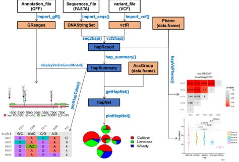 August 2022 Top 40 New Cran Packages · R Views