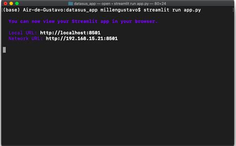Datasus Death Records And Streamlit Gustavo Millen