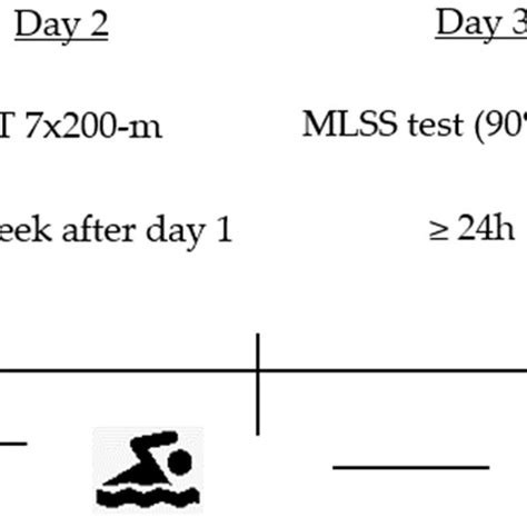 Schematic Representation Of The Experimental Protocol Ist Incremental