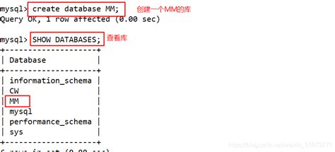 Mysql数据库增删改查（基础操作命令详解）mysql的增伤改查 Csdn博客