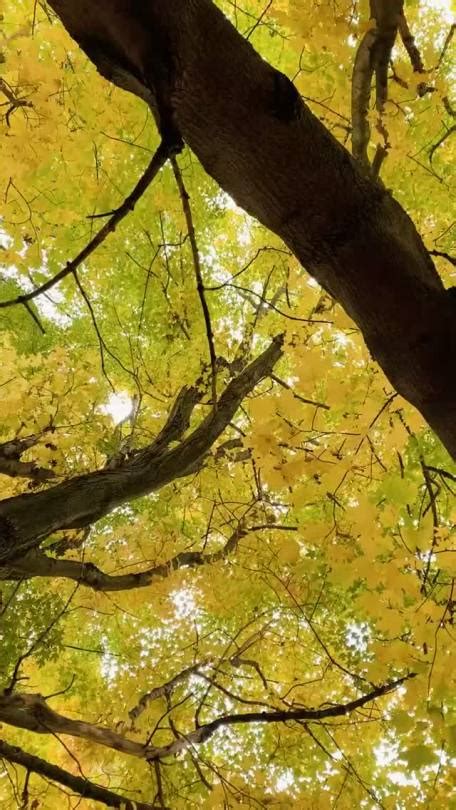 Post Metal Bondage Tumblr Com Tumbex