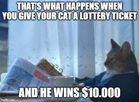 Lucky Cat Imgflip