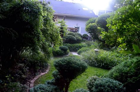 Beautiful Back Garden With Bushes And Trees