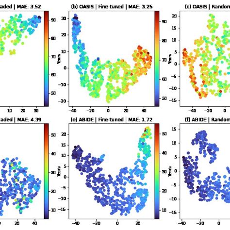 3 T Sne Plot Of Sfcn Features After Domain Shift From Ukb To Various