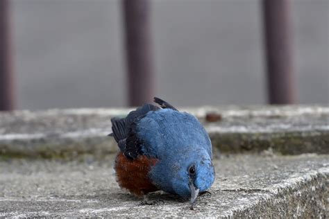 M Todo Correcto Para Convertir Una Cadena En Un Flotante Code Chips