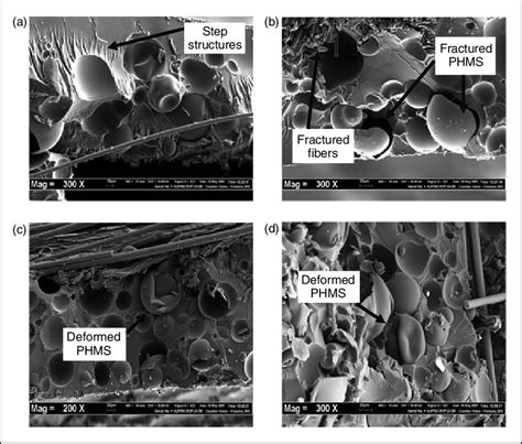 Various Sem Micrographs Of Fractured Surfaces Of Woven Fabric Download Scientific Diagram