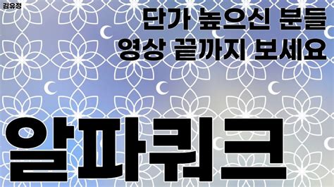 알파쿼크 단가 높으신 분들 무조건 보세요 Youtube