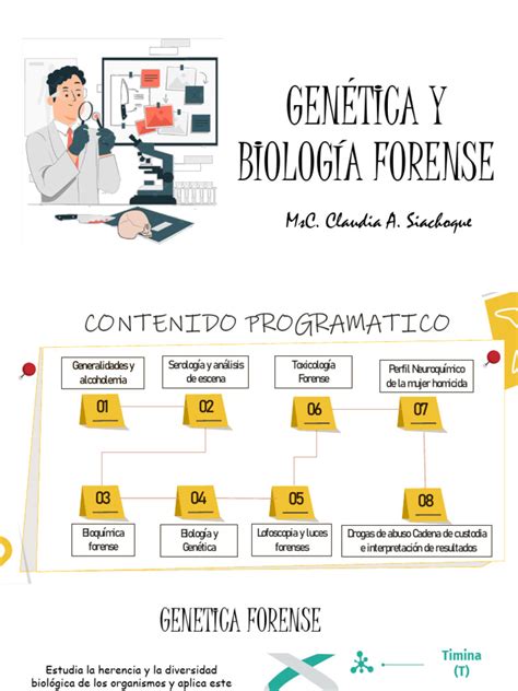 Genética Forense Identificación Y Análisis Pdf Perfiles De Adn