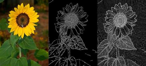 Work On Image Processing Algorithms And Computer Vision Algorithms By