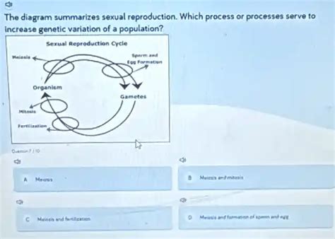The Diagram Summarizes Sexual Reproduction Which