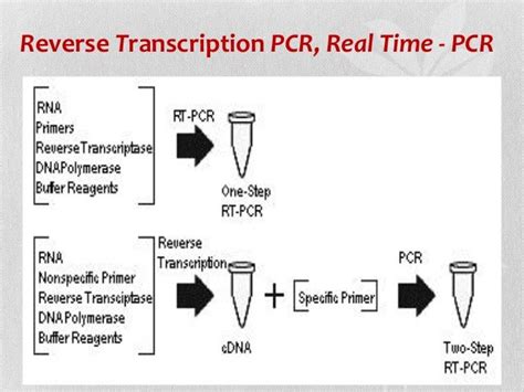 Types of PCR