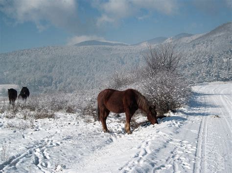 Зима в Юндола и околнистите Част 1 СНИМКИ Блогът на туристически комплекс „Андела Юндола