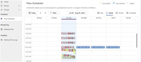 Automation Bug Future Schedules Are Not Showing In Calendar In Flow Scheduler Page In Day