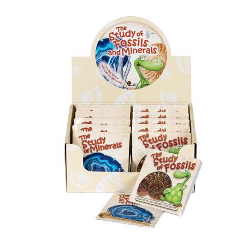 Buy Fossils For Sale Online British Fossils