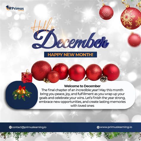 Primus Learning Camer Buea