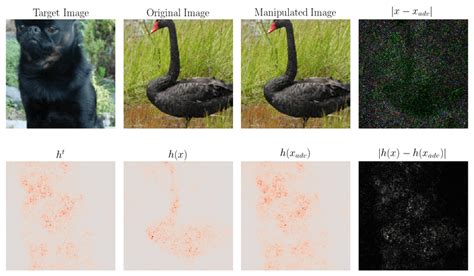 Gradient Explanation Maps Produced With Densenet 121 Model Download Scientific Diagram