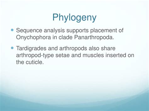 Ppt Smaller Ecdysozoans Powerpoint Presentation Free Download Id1154983