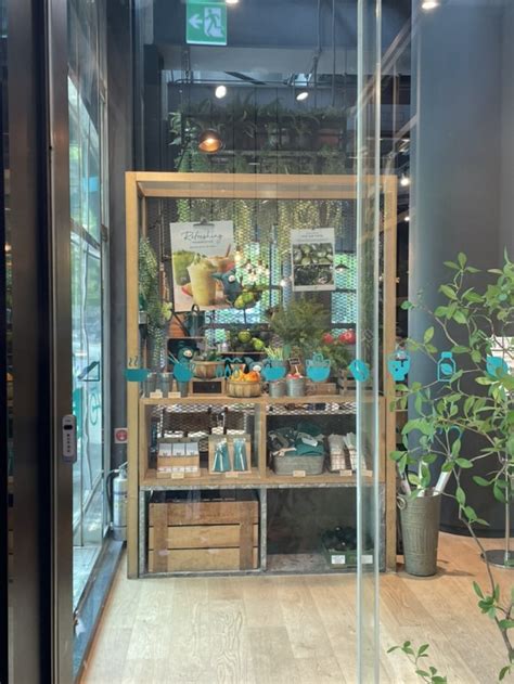 여의도 여의도 직장인 점심 맛집 추천 피그인더가든