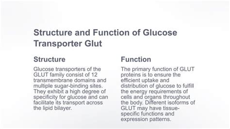 Glut Transport Ppt On Glut 4 All Described In Detail Pptx
