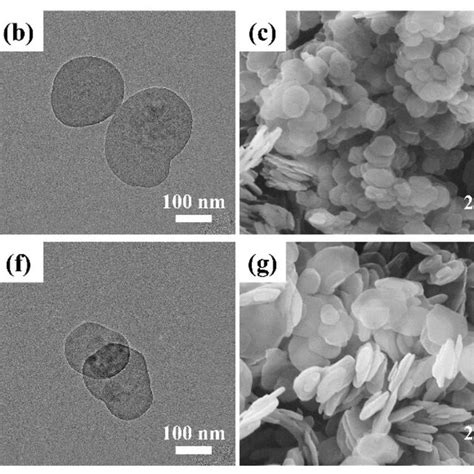 Scanning And Transmission Electron Microscope Image Of A B Pristine