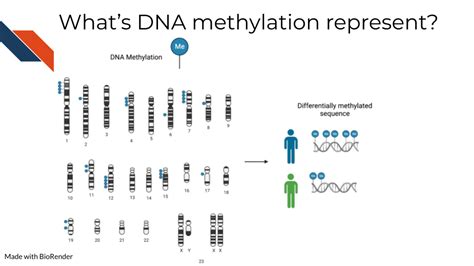 Chapter DNA Methylation Sequencing Choosing Genomics Tools