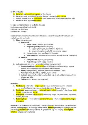 Bacterial Identification Flowchart BOD Studocu